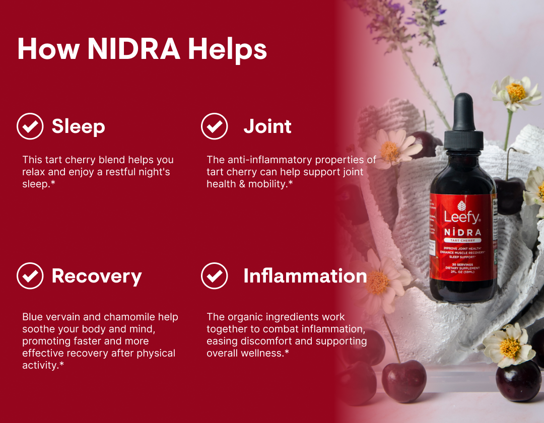 NIDRA: Tart Cherry Tincture, Promote Rest & Recovery. – Leefy Organics